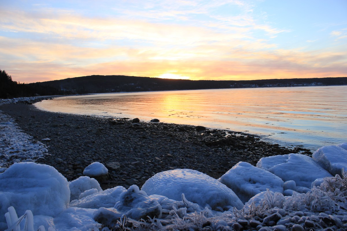 The View from Newfoundland #4 – Around the Bay with DD