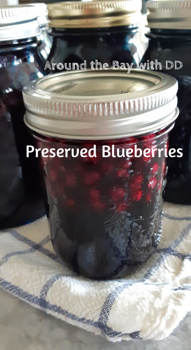 Preserving Blueberries ~ 4 Ways – Around the Bay with DD