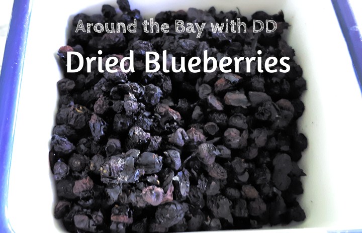 Preserving Blueberries ~ 4 Ways – Around the Bay with DD