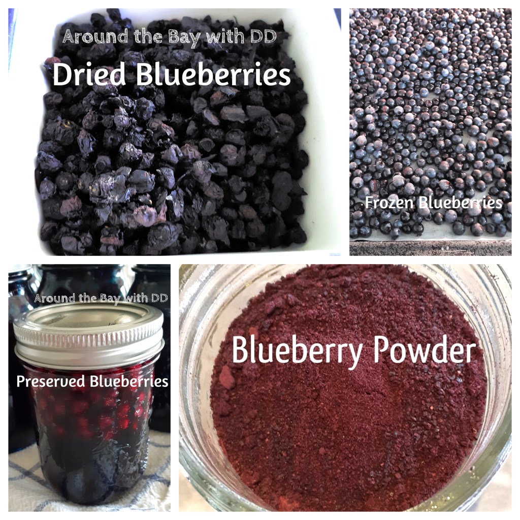 Preserving Blueberries ~ 4 Ways – Around the Bay with DD