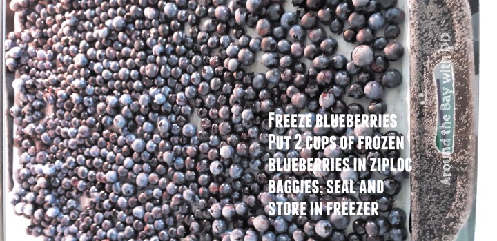 Preserving Blueberries ~ 4 Ways – Around the Bay with DD