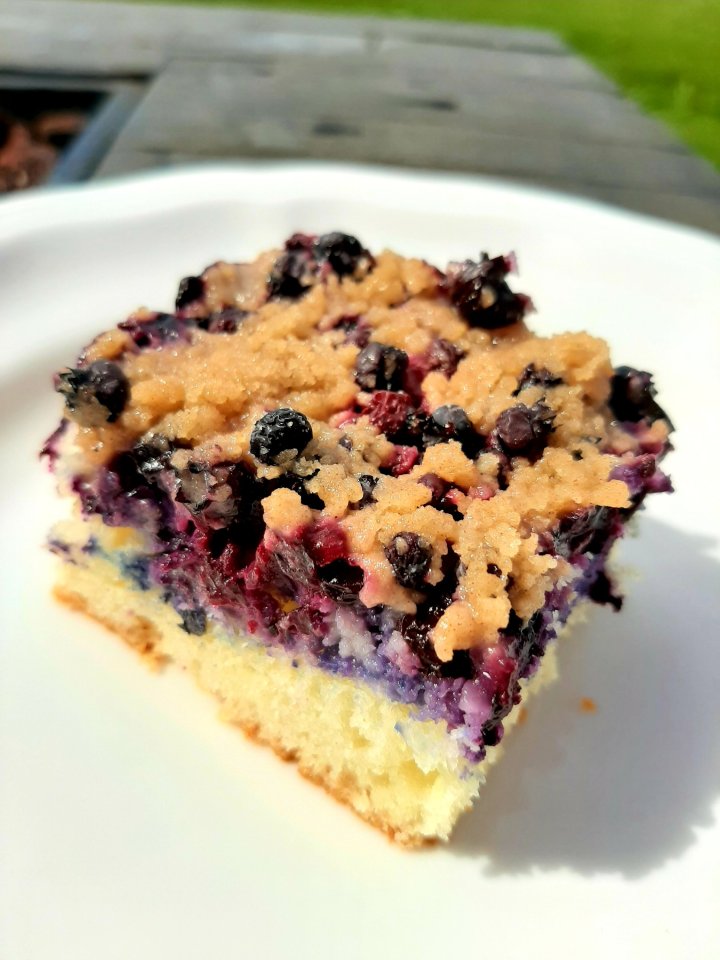 Newfoundland Blueberry Buckle – Around the Bay with DD